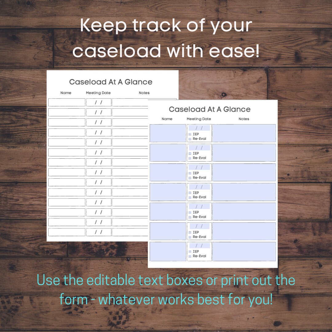 Special Education Caseload Overview (fillable) - Etsy