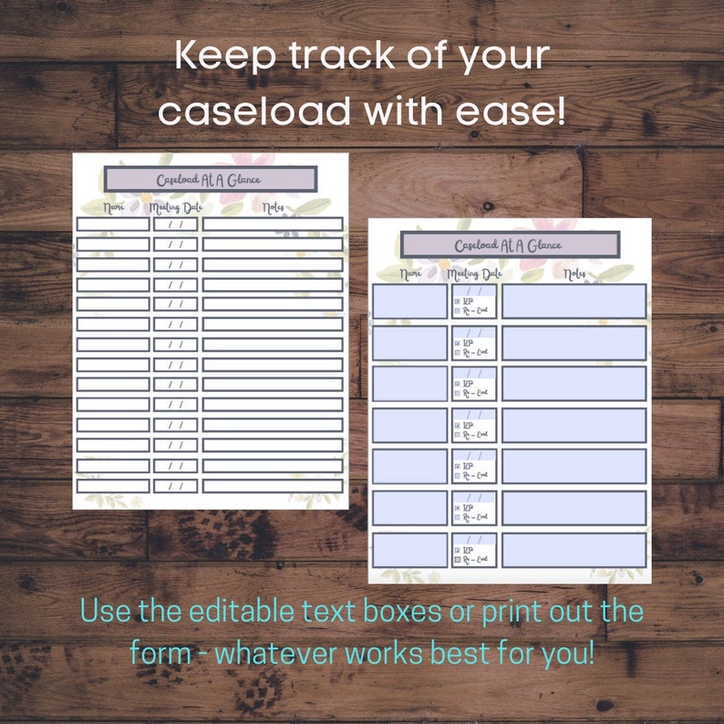 Special Education Caseload Overview fillable - Etsy