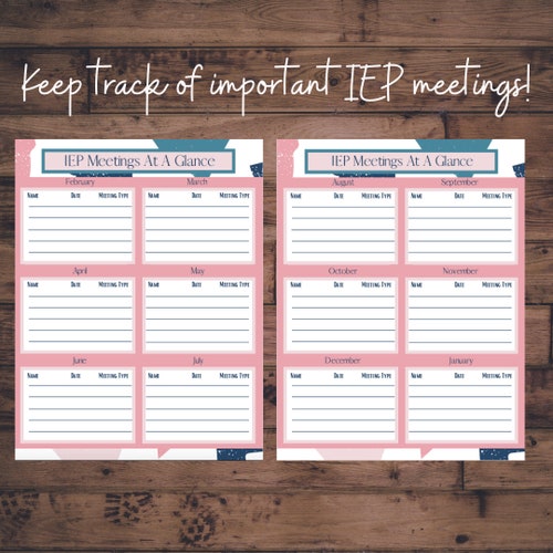 IEP at A Glance Yearly Planner fillable - Etsy
