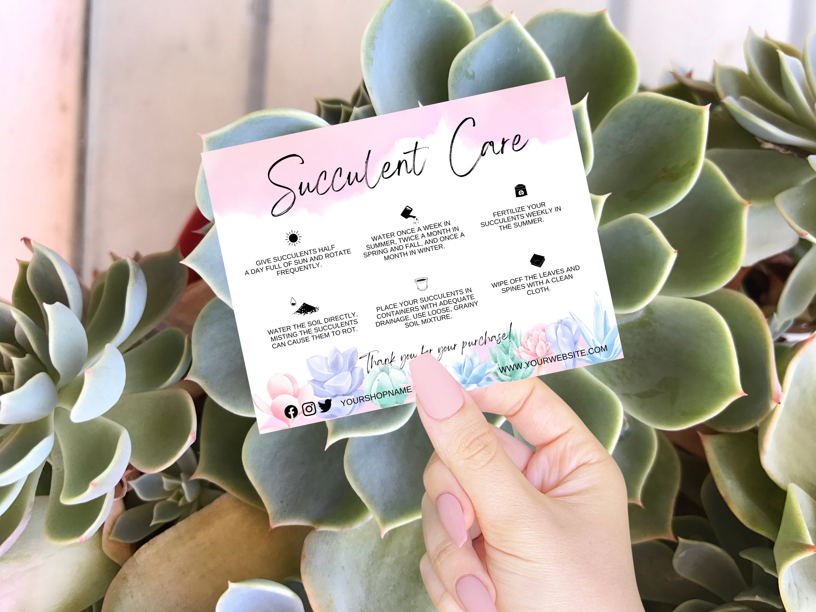 Houseplant Care, Succulent Care Card, Plant Care Instructions Card ...