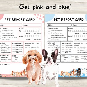 Dog Report Card: Pet Sitter Form (instant Download) - Etsy