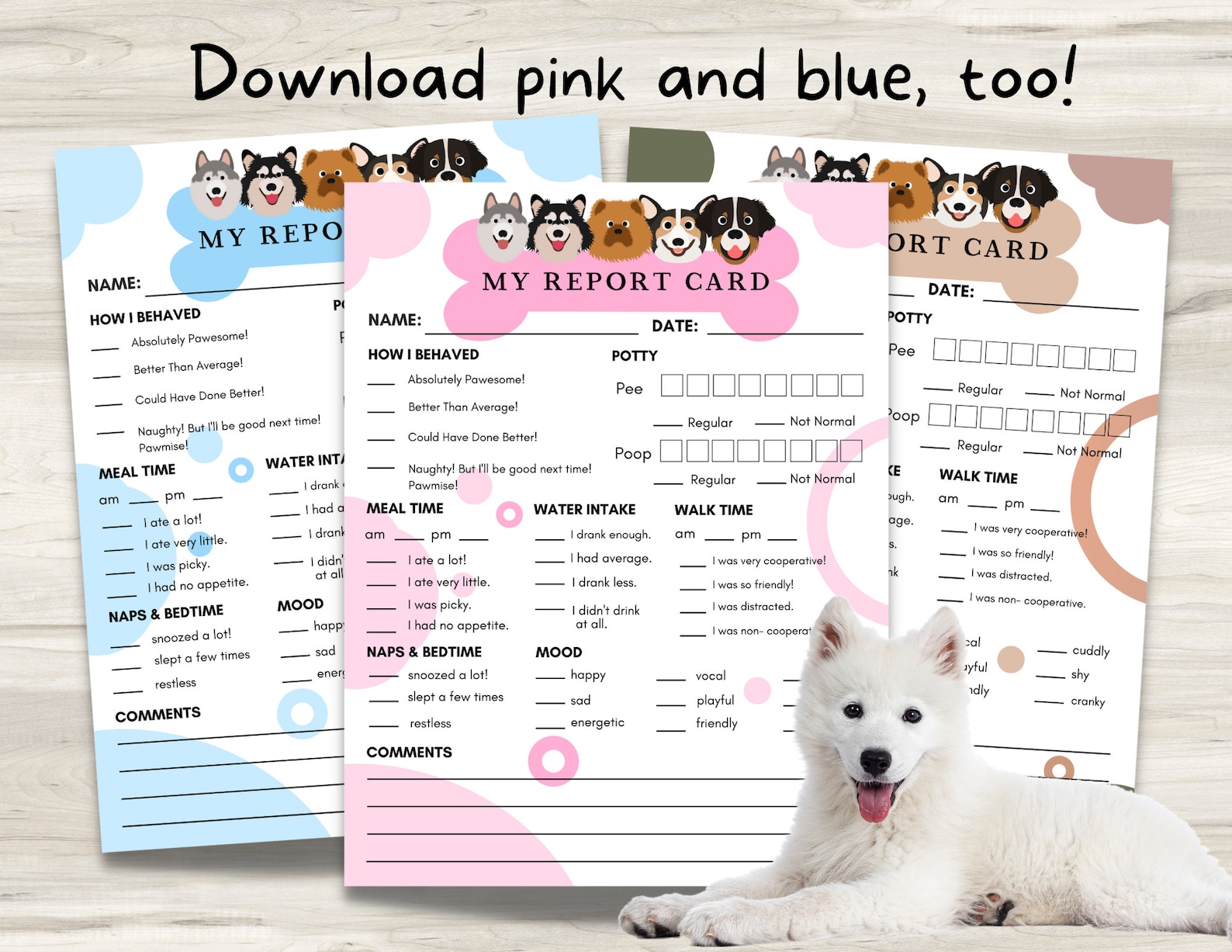 Printable Pet Report Card Form: Dog Sitter, Dog Walker (instant ...