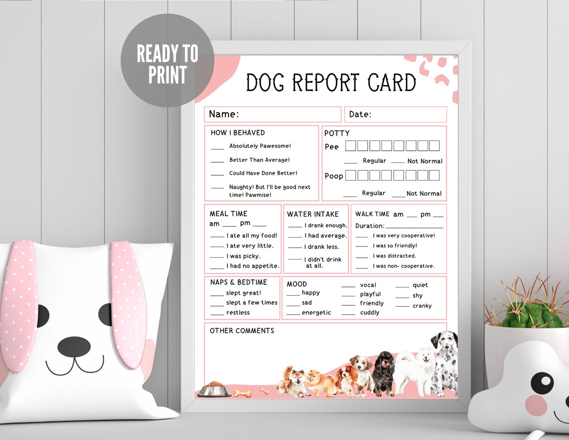 Pet Sitter Bundle, Dog Cat Report Card, Pet Business Notes (digital ...