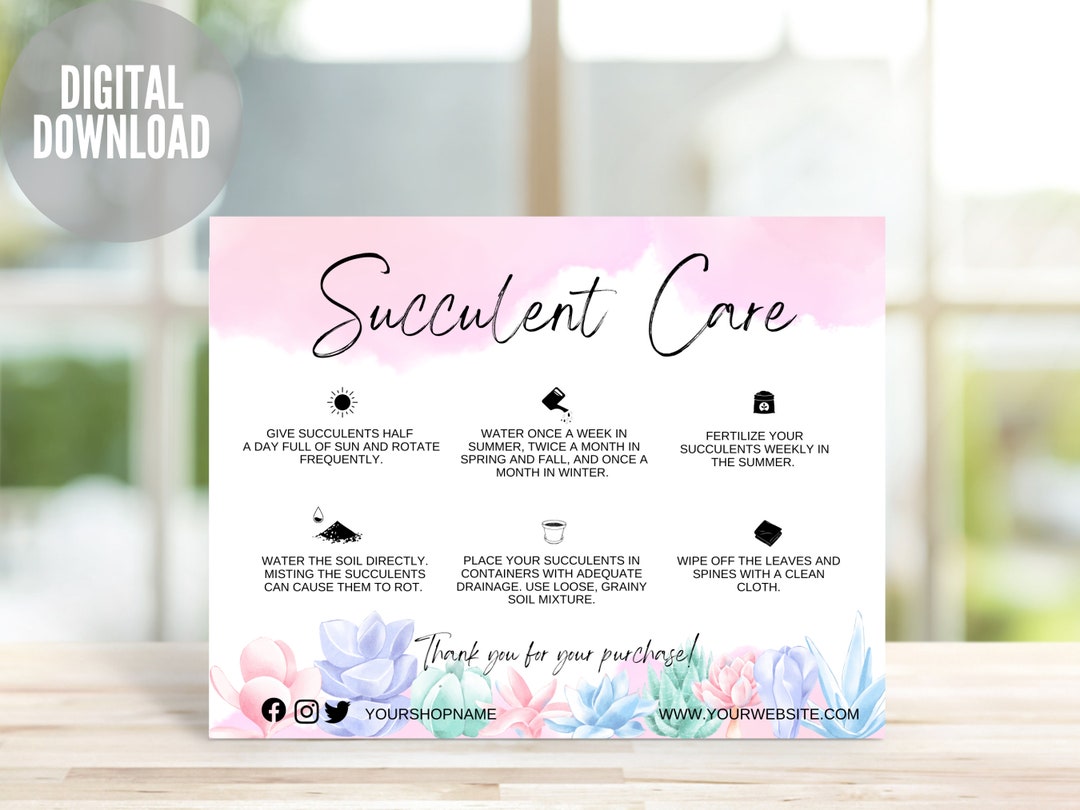 Houseplant Care, Succulent Care Card, Plant Care Instructions Card ...
