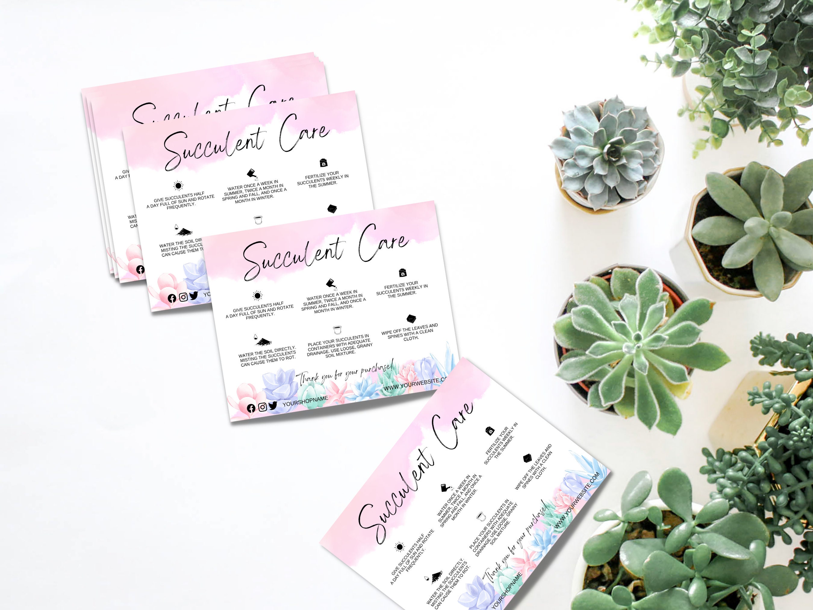 Houseplant Care, Succulent Care Card, Plant Care Instructions Card ...