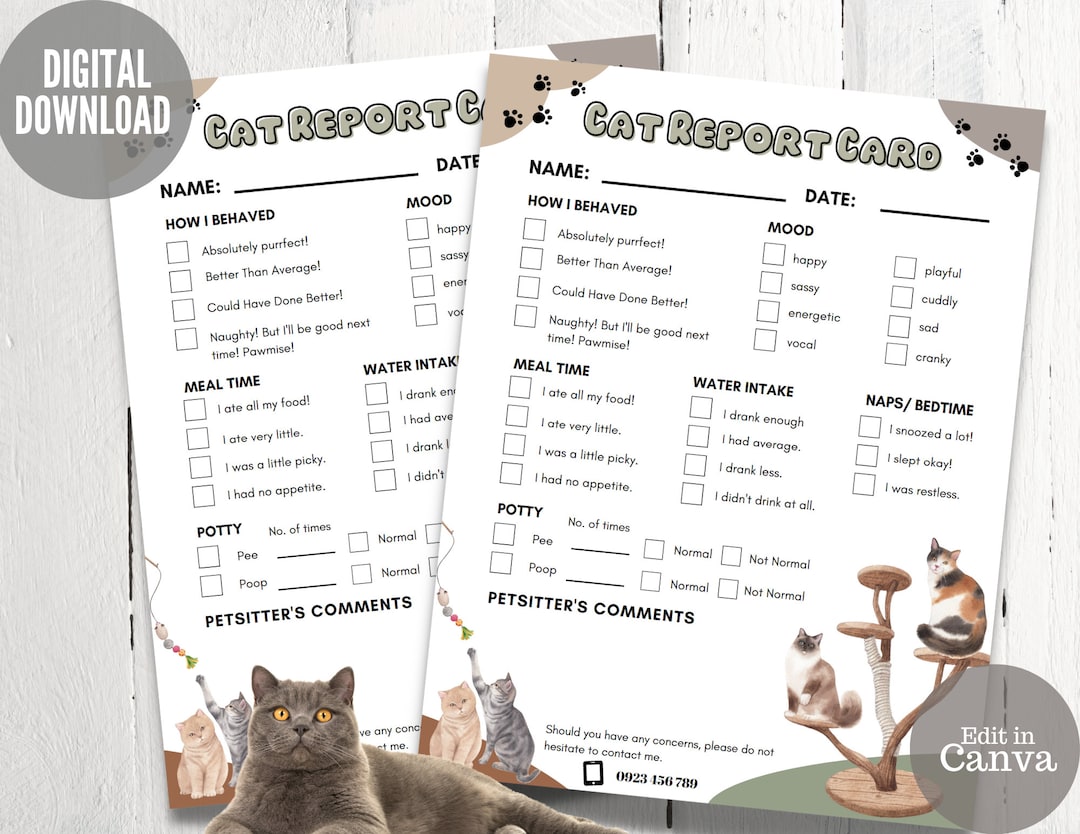 Cat Report Card, Editable Pet Boarding Report Card, Cat Sitting Report ...