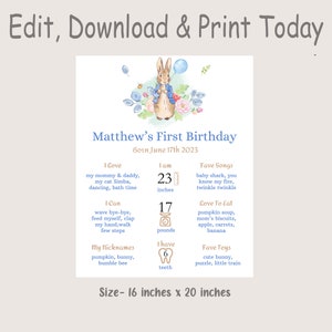 Peter Rabbit Milestone Poster Bunny Milestone Board Flopsy Bunny First ...