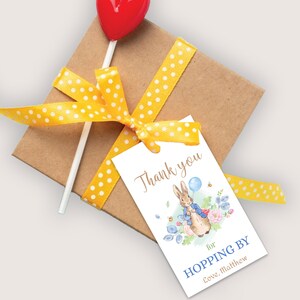 Peter Rabbit Thank You Tags Bunny Party Favors First Birthday Favor ...