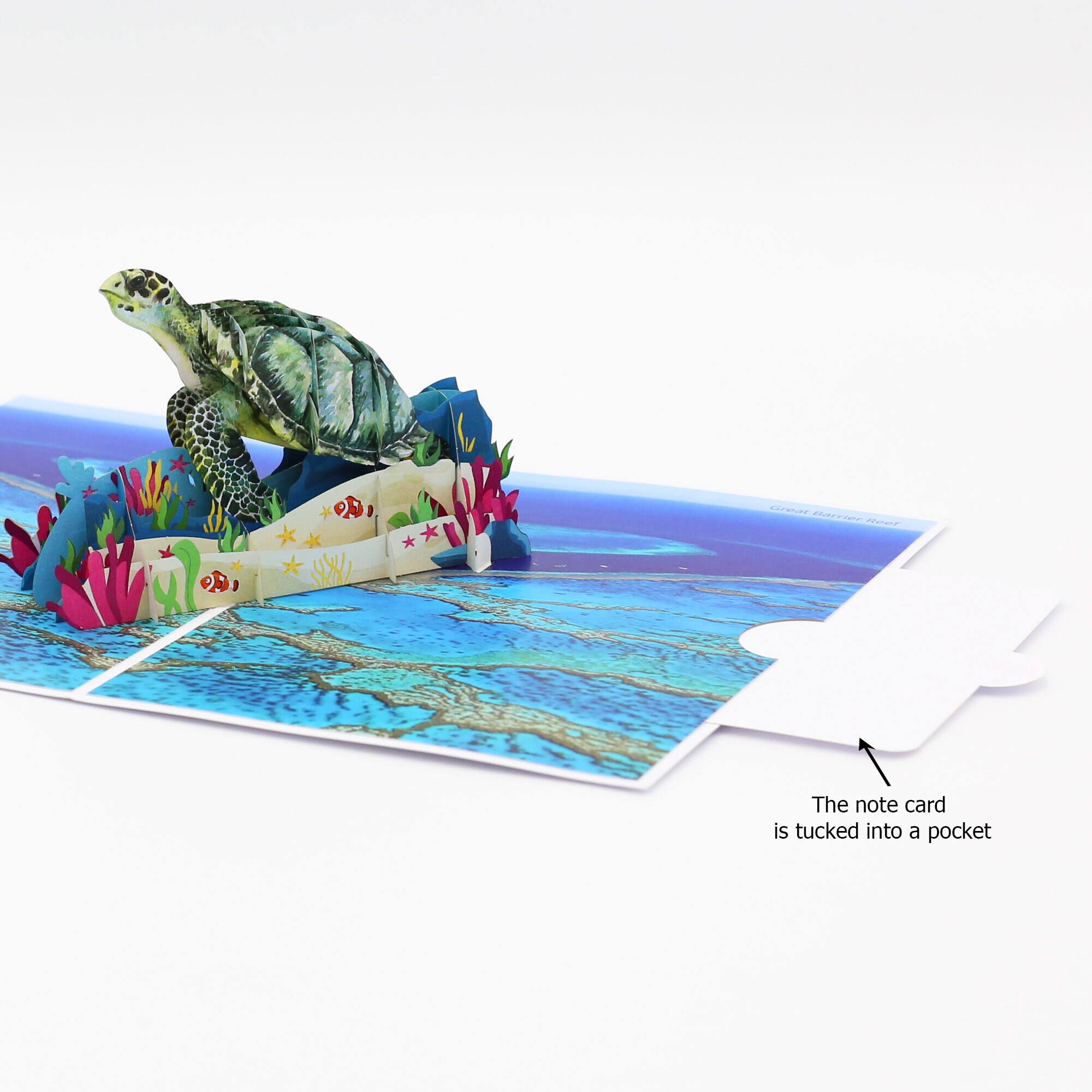 Sea Turtle & Great Barrier Reef Pop up Card for Mother's Day, Birthday ...