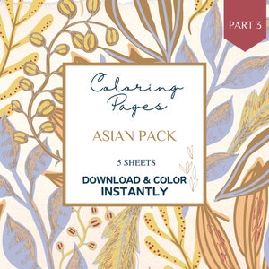 Asian Theme Coloring Book (part 3) / Instant Download PDF Pages - Etsy
