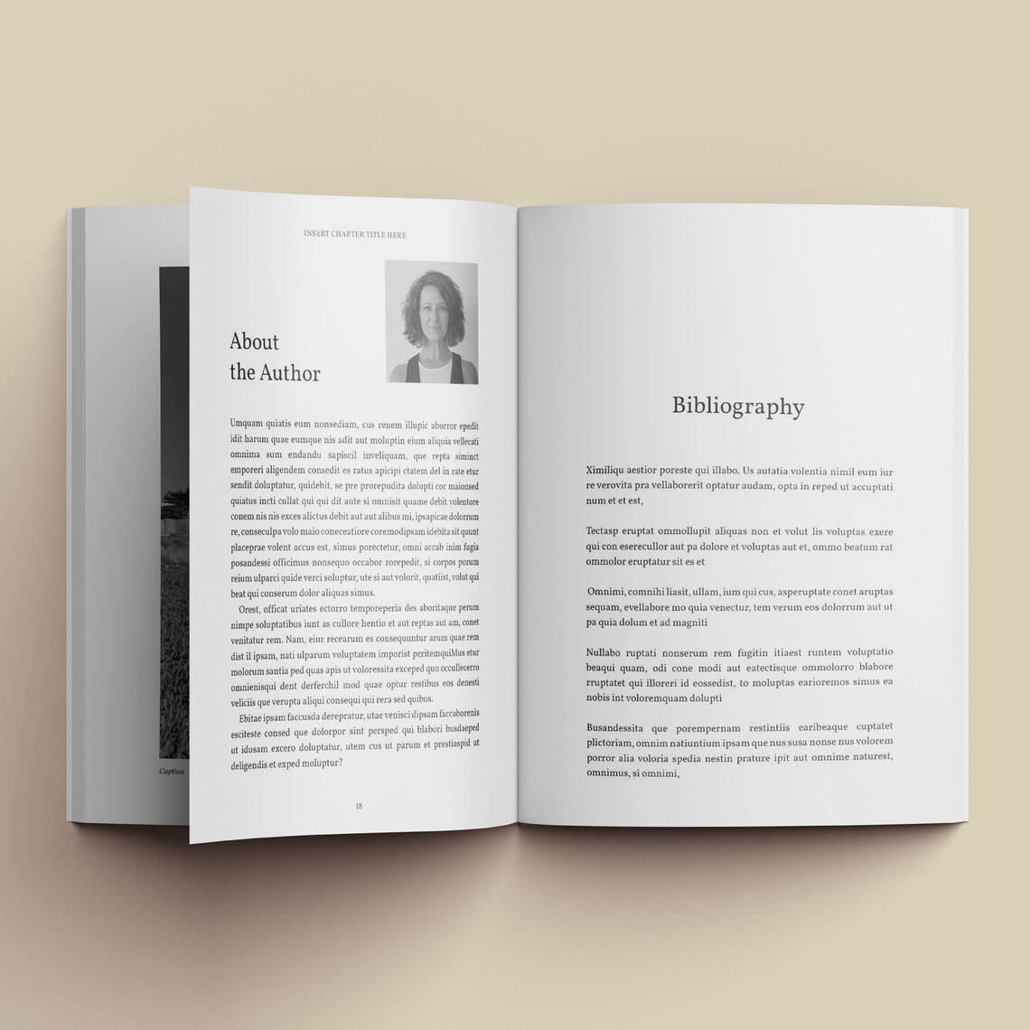 BERT Indesign Affinity Publisher Book Template | 6x9 Interior Pages ...