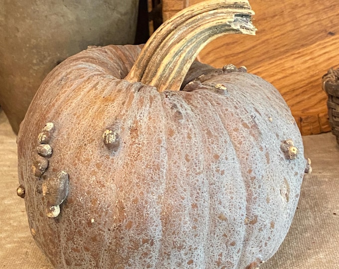 Whole Dried Warty Pimpkin Boel Trencher Primitive - Etsy