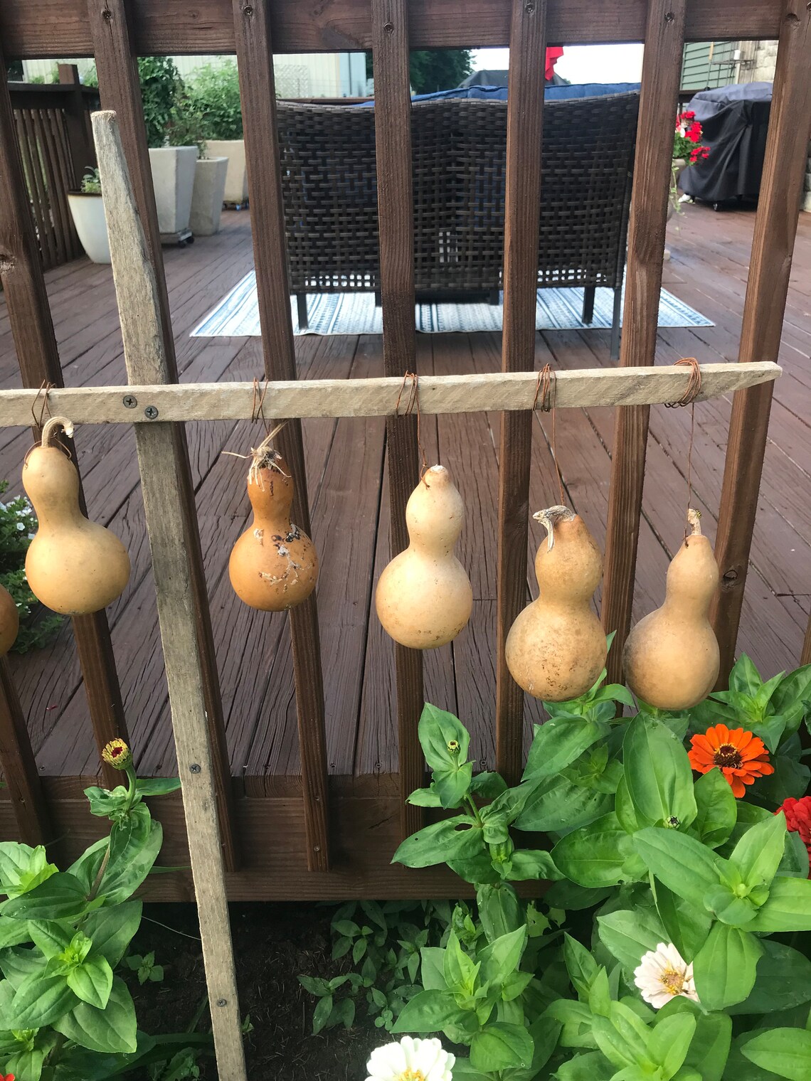Tobacco Stick Gourd Cross Primitive Accent Rustic Cabin Garden Flower ...