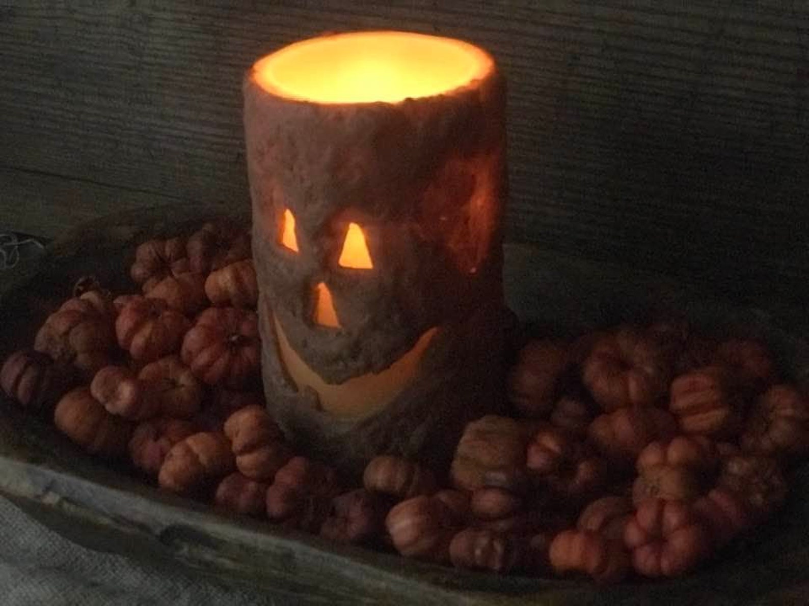 Orange Pumpkin Pods Putka Pods - Etsy