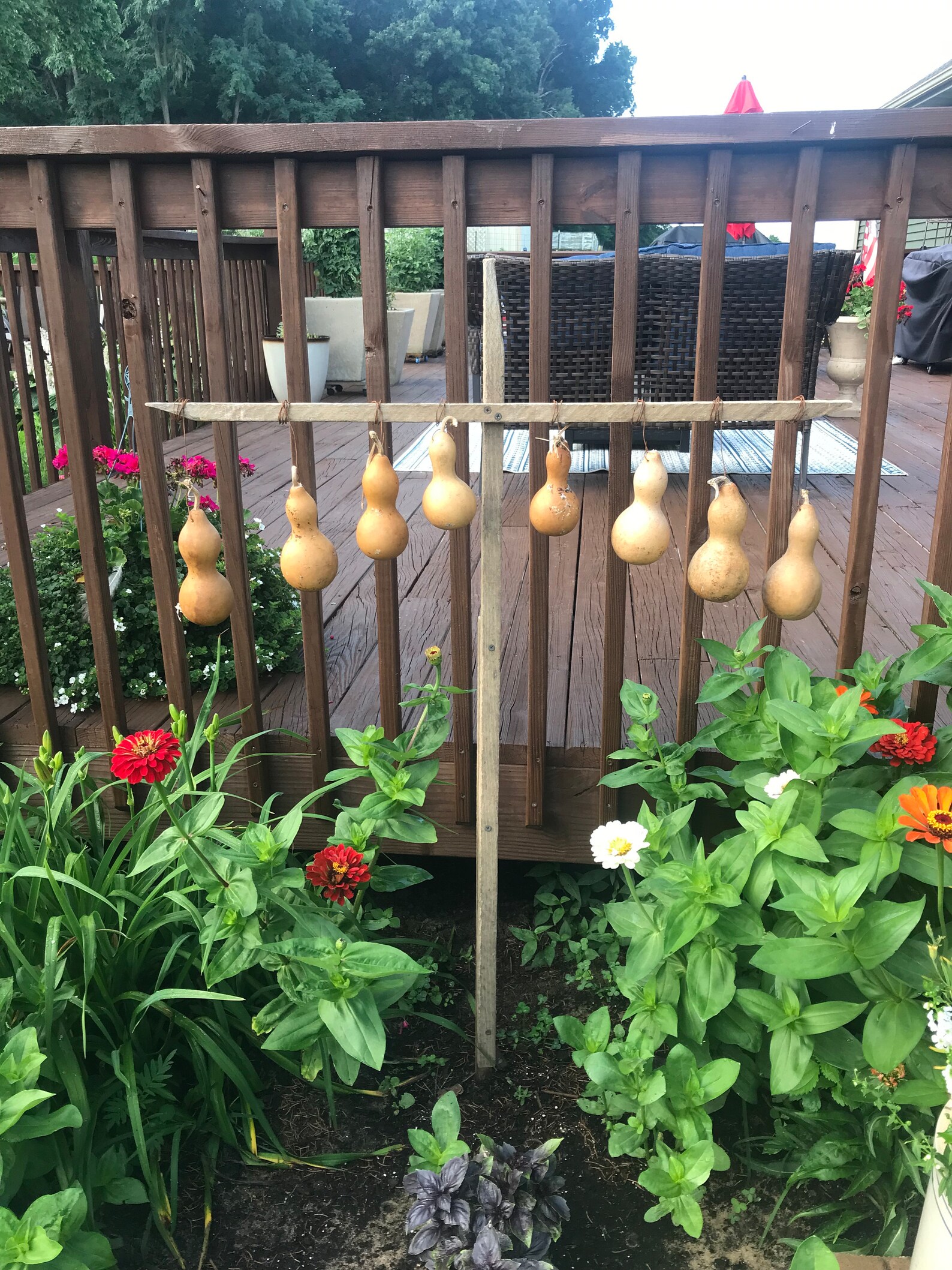 Tobacco Stick Gourd Cross Primitive Accent Rustic Cabin Garden Flower ...