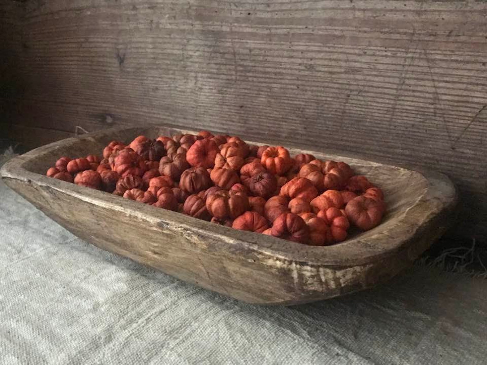 Orange Pumpkin Pods Putka Pods - Etsy