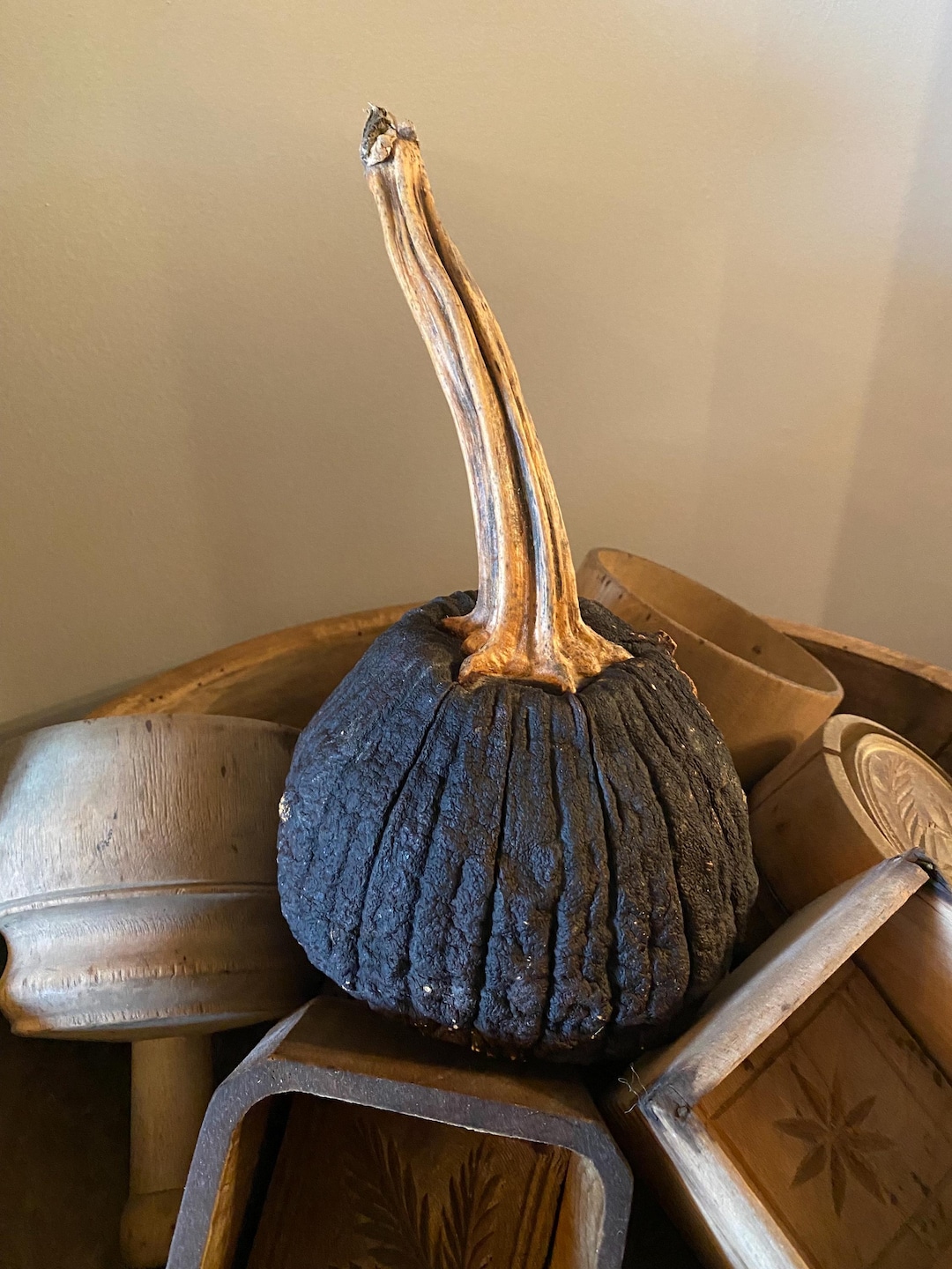 Blackened Extra Long Stem Pumpkin Primitive Whole Pumpkin Dried - Etsy