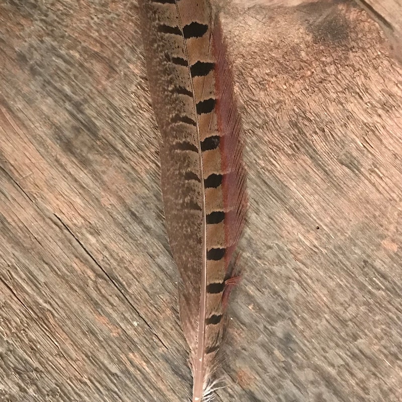 Pheasant Feather Antiques - Etsy