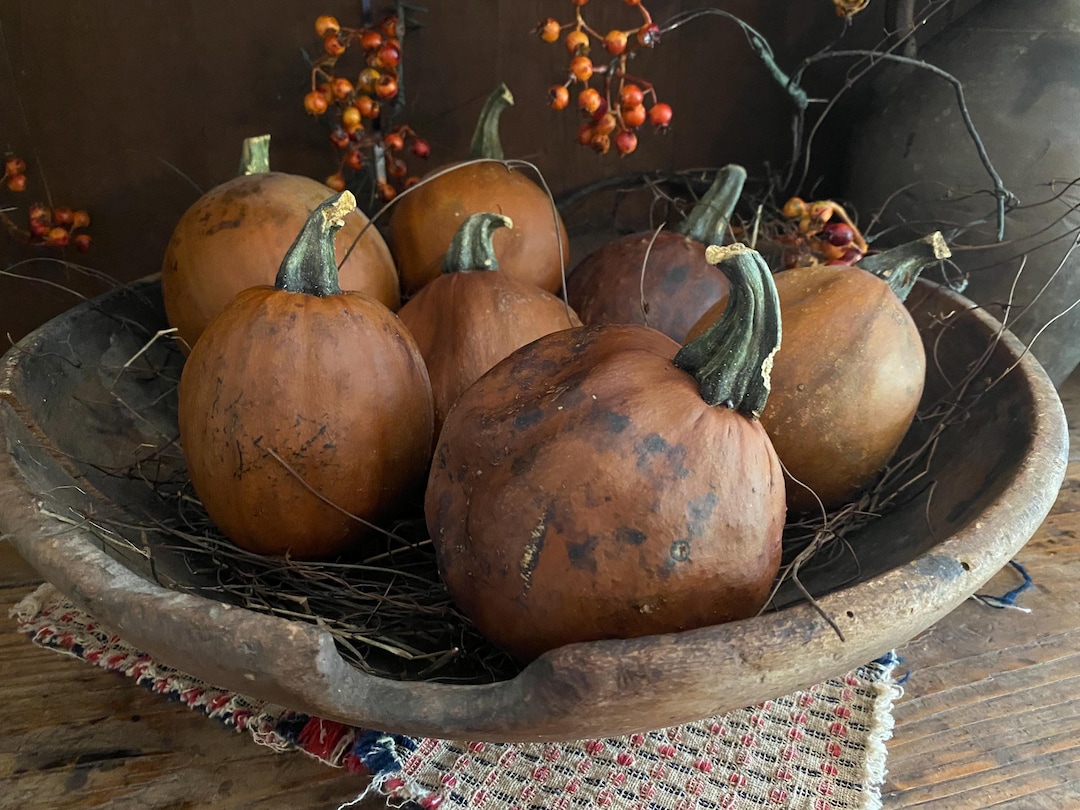 Ball Pumpkin Whole Dried Pumpkin Primitive - Etsy