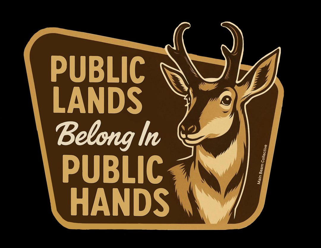 Public Lands Sticker - Etsy