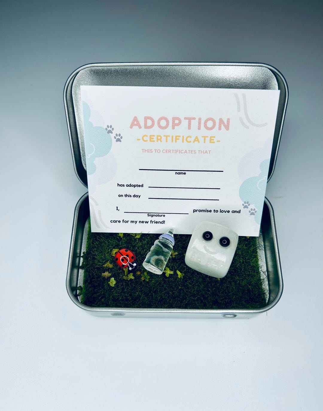 Pet Rock With Adoption Certificate, Pocket Pet, Emotional Support Desk ...