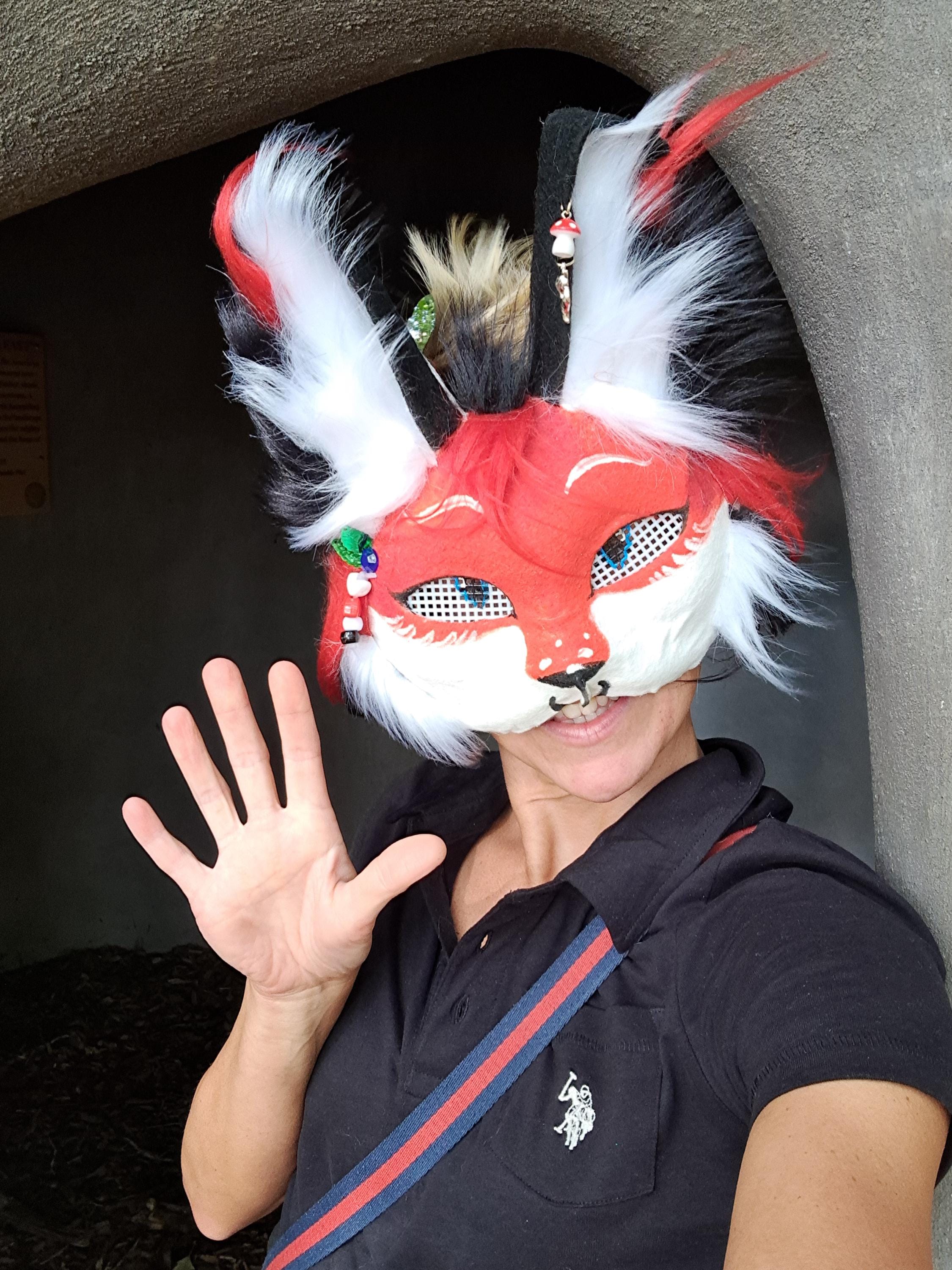 FOX Collection 10 Masks or Custom Therian Masks Customize Today It is ...