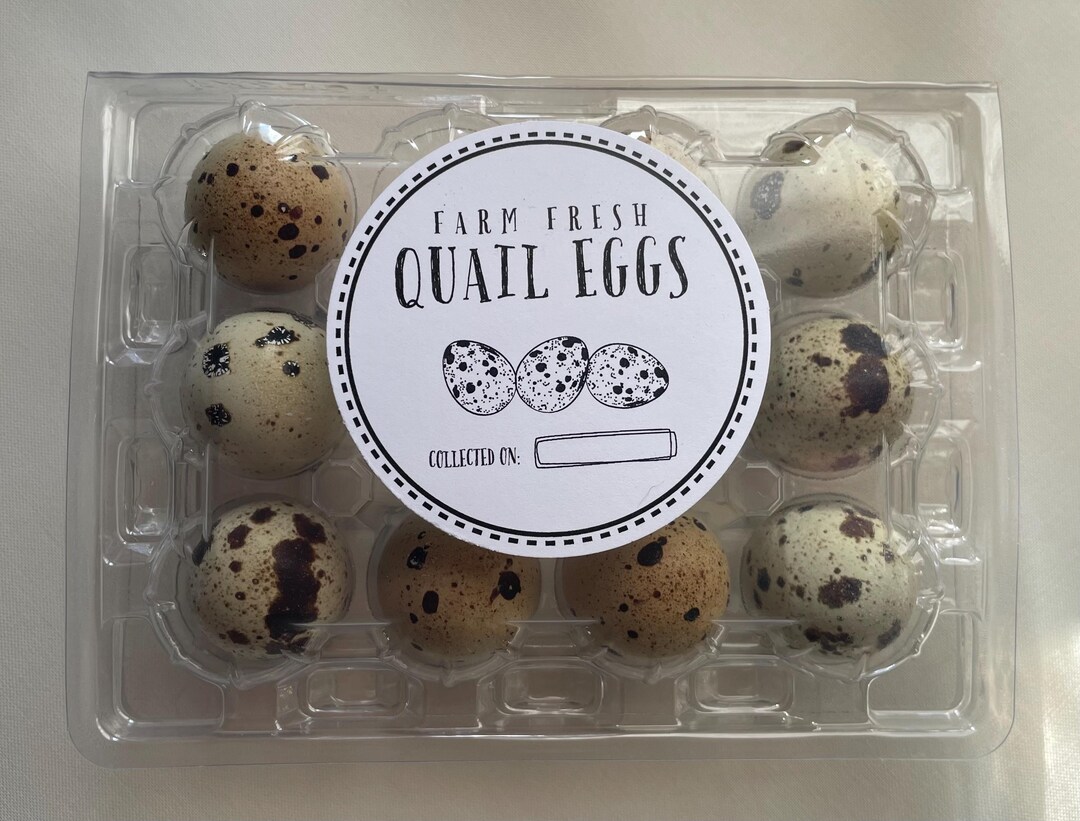 Farm Fresh Quail Egg Circle Sticker or Insert - Collection Date - Etsy