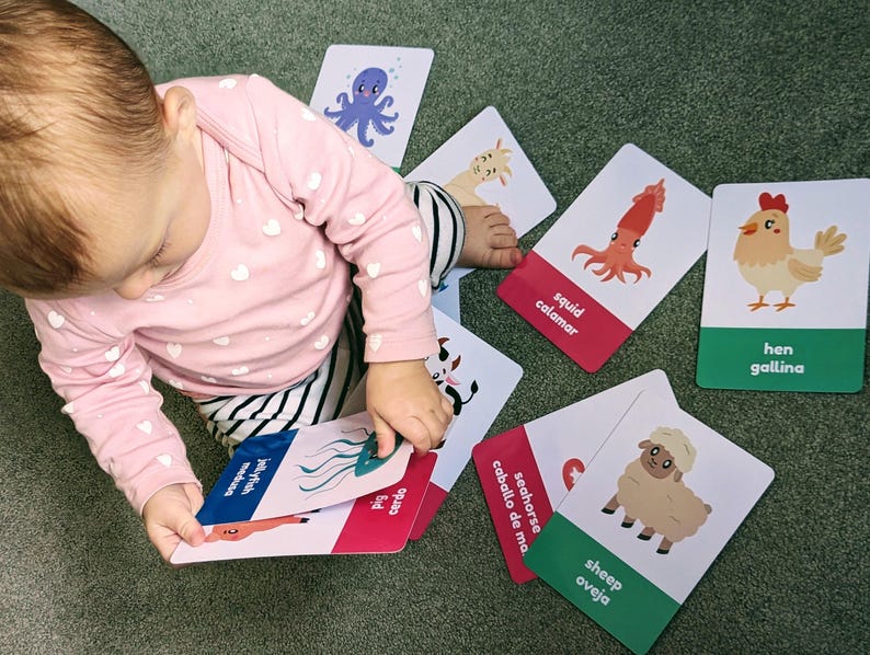 Customisable Fruit Flashcards, Healthy Eating Vocabulary, Montessori ...