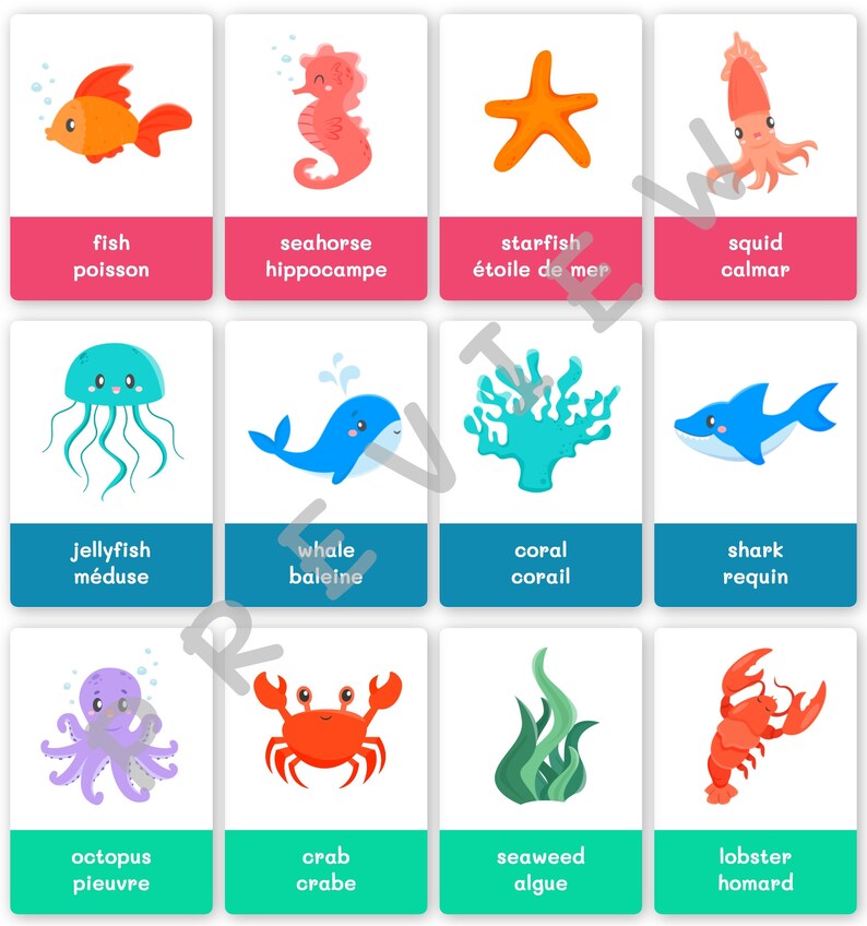Printable Under the Sea Flashcards - Etsy