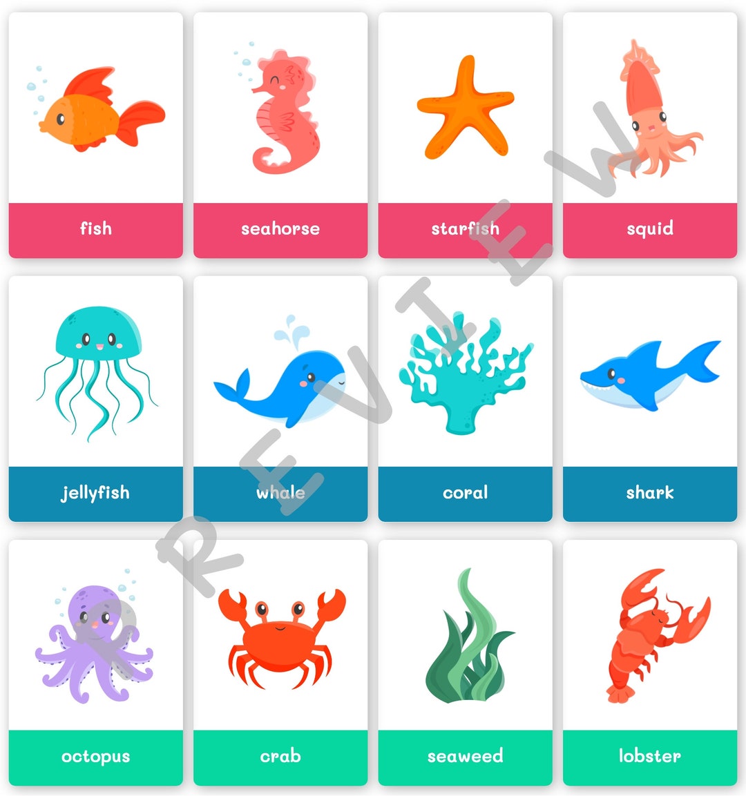 Printable Under the Sea Flashcards - Etsy