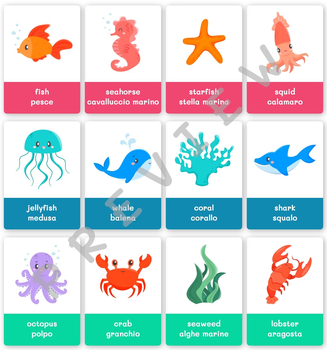 Printable Under the Sea Flashcards English-italian - Etsy