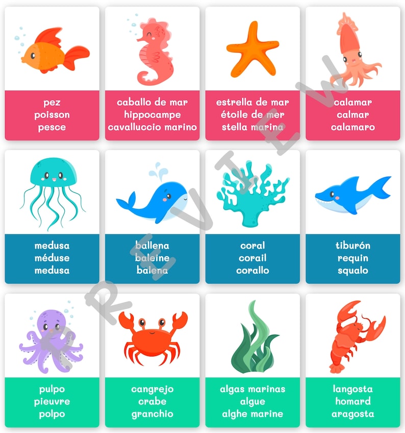 Customisable Under the Sea Flashcards, Ocean Animals Printable, Marine ...