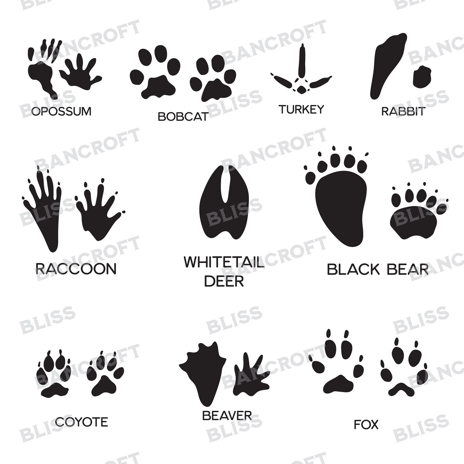 Animal Paw Print SVG Animal Tracks Svg Hunter Svg Hunting Svg Hunting ...