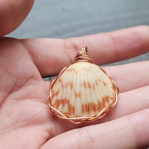 Wire Wrapped Shell - Etsy