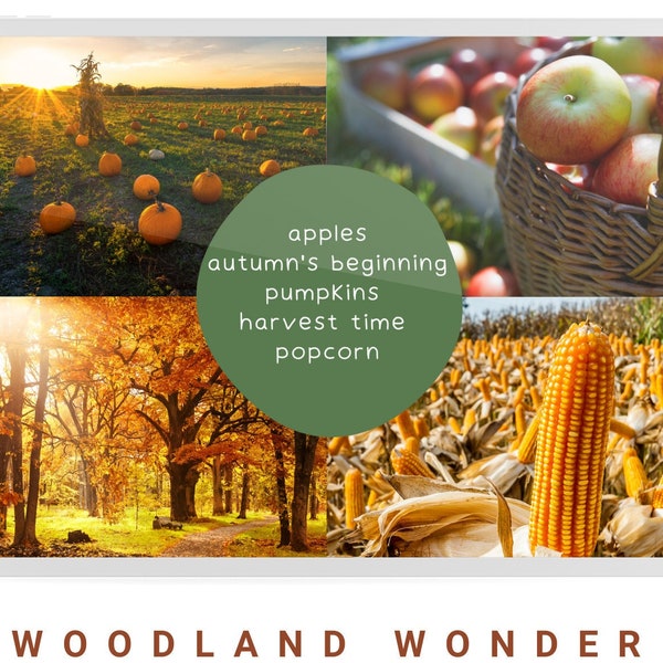 Nature-based First Grade Homeschool Curriculum: Secular, Whole-child ...