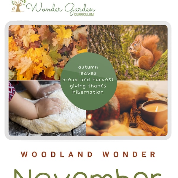 Preschool Curriculum - Etsy