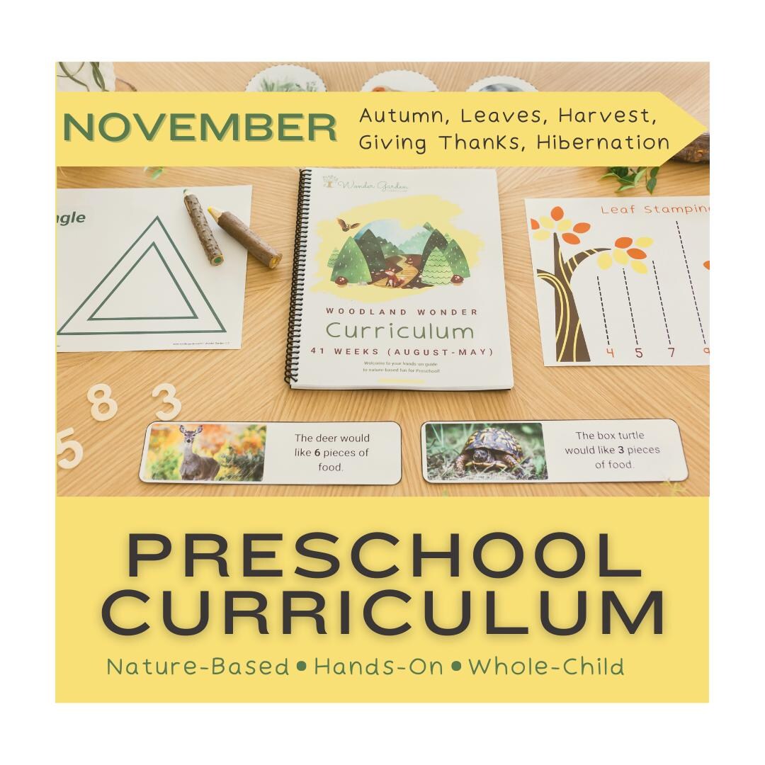 November Preschool Curriculum for Homeschoolers: Secular, Whole-child ...
