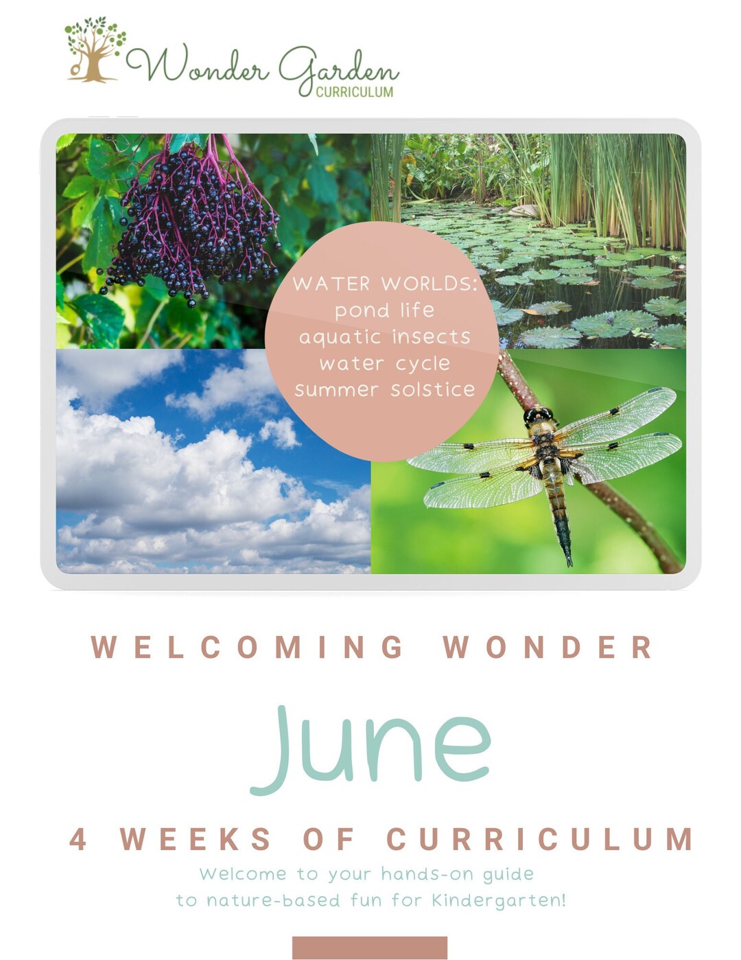 June Kindergarten Mini-curriculum for Homeschoolers: Secular, Whole ...