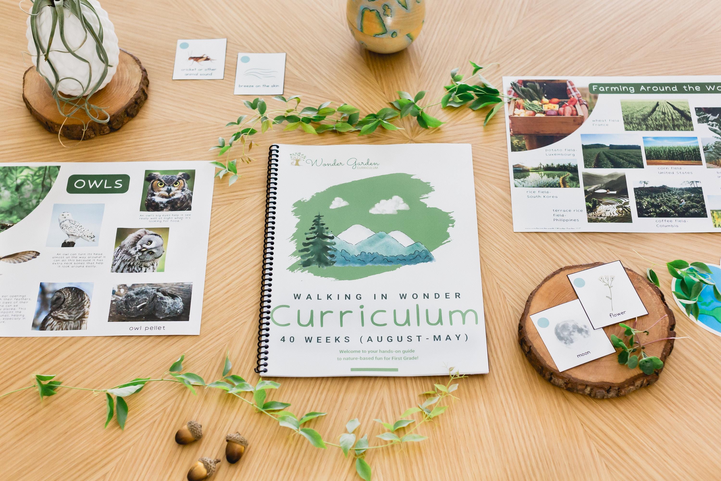 2-WEEK SAMPLE 1st Grade Homeschool Curriculum: Secular, Whole-child ...