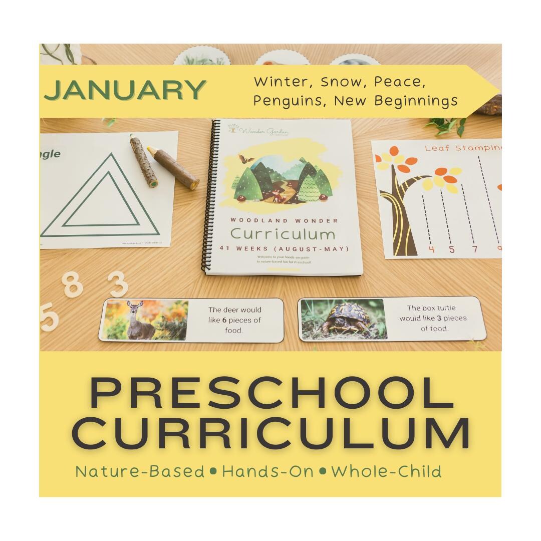 January Preschool Curriculum for Homeschoolers: Secular, Whole-child ...