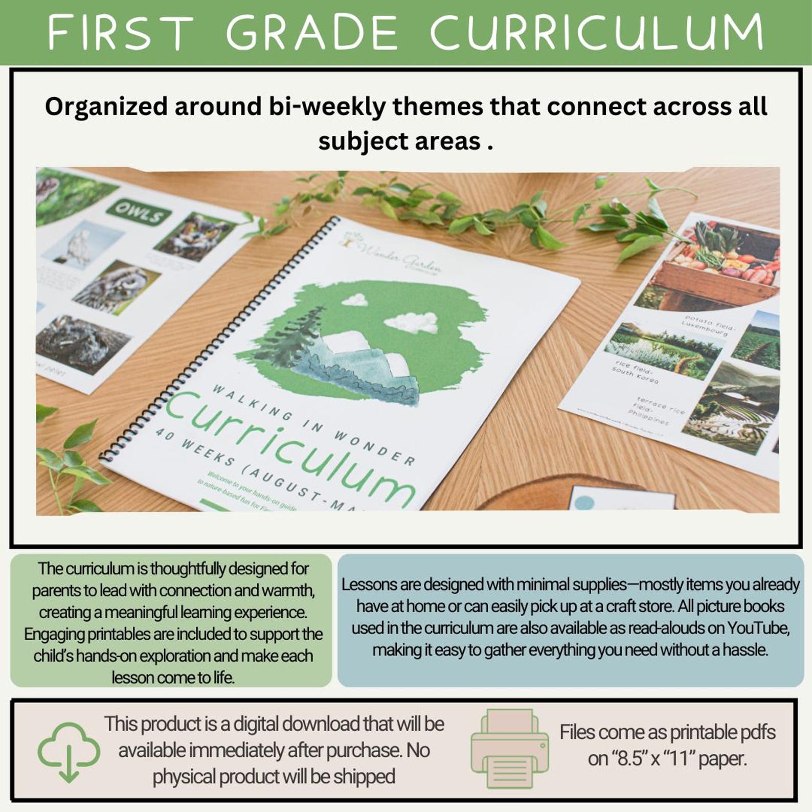 2-WEEK SAMPLE 1st Grade Homeschool Curriculum: Secular, Whole-child ...