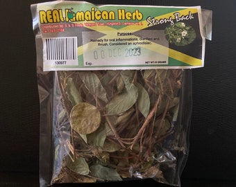 Strong Back Jamaican Herb desmodium Incanum 36 Tea Bags - Etsy