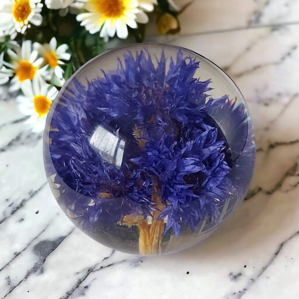 Resin Paperweight - Etsy