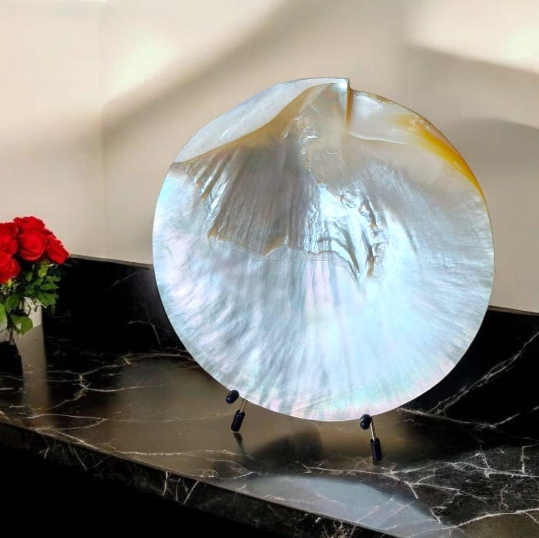 Vintage Mother of Pearl Shell Dish: Iridescent Caviar Serving Plate - Etsy