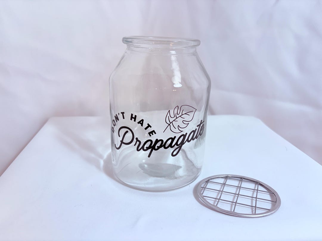 Dont Hate Propagate Plant Propagation Jar With Lid, Plant Rooting Jar ...