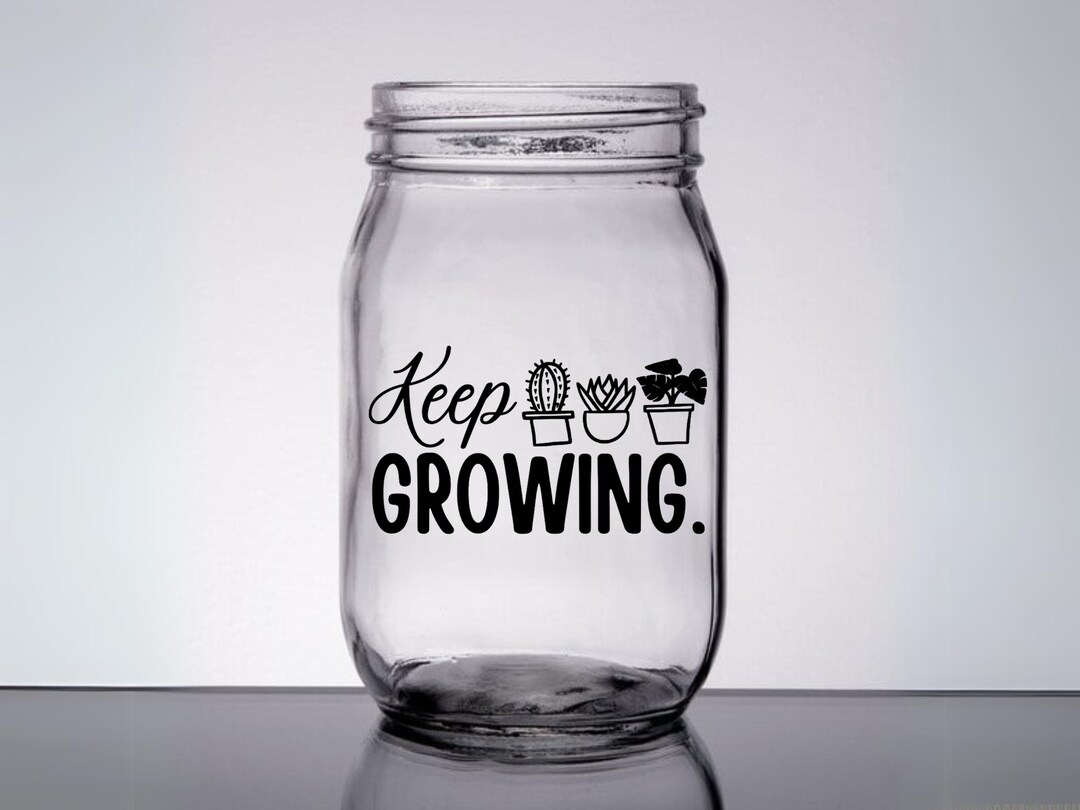 Upcycled Plant Propagation Jar, Glass Rooting Vase, Hydroponic Planter ...