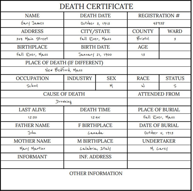 Fillable Death Certificate for Ancestry Genealogy Research - Printable ...