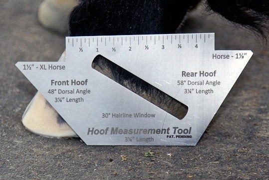 Hoof Measurement Tool - Etsy
