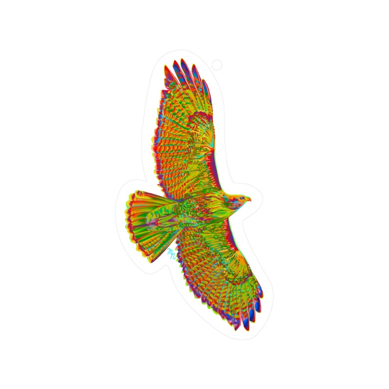 Red-tailed Hawk Vinyl Sticker, Bird Watching Car Laptop Water Bottle ...