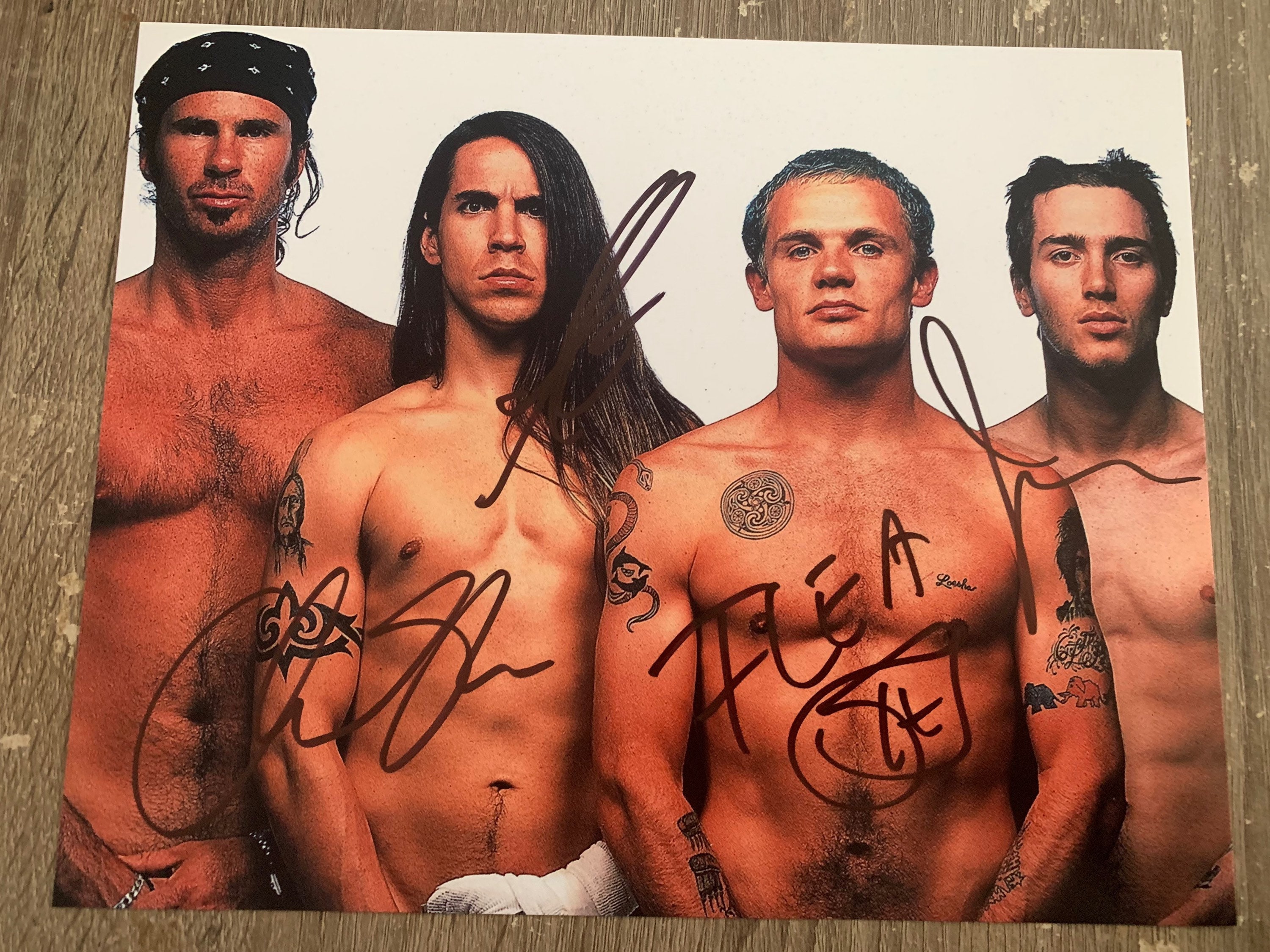 Red Hot Chili Peppers Dave Navarro
